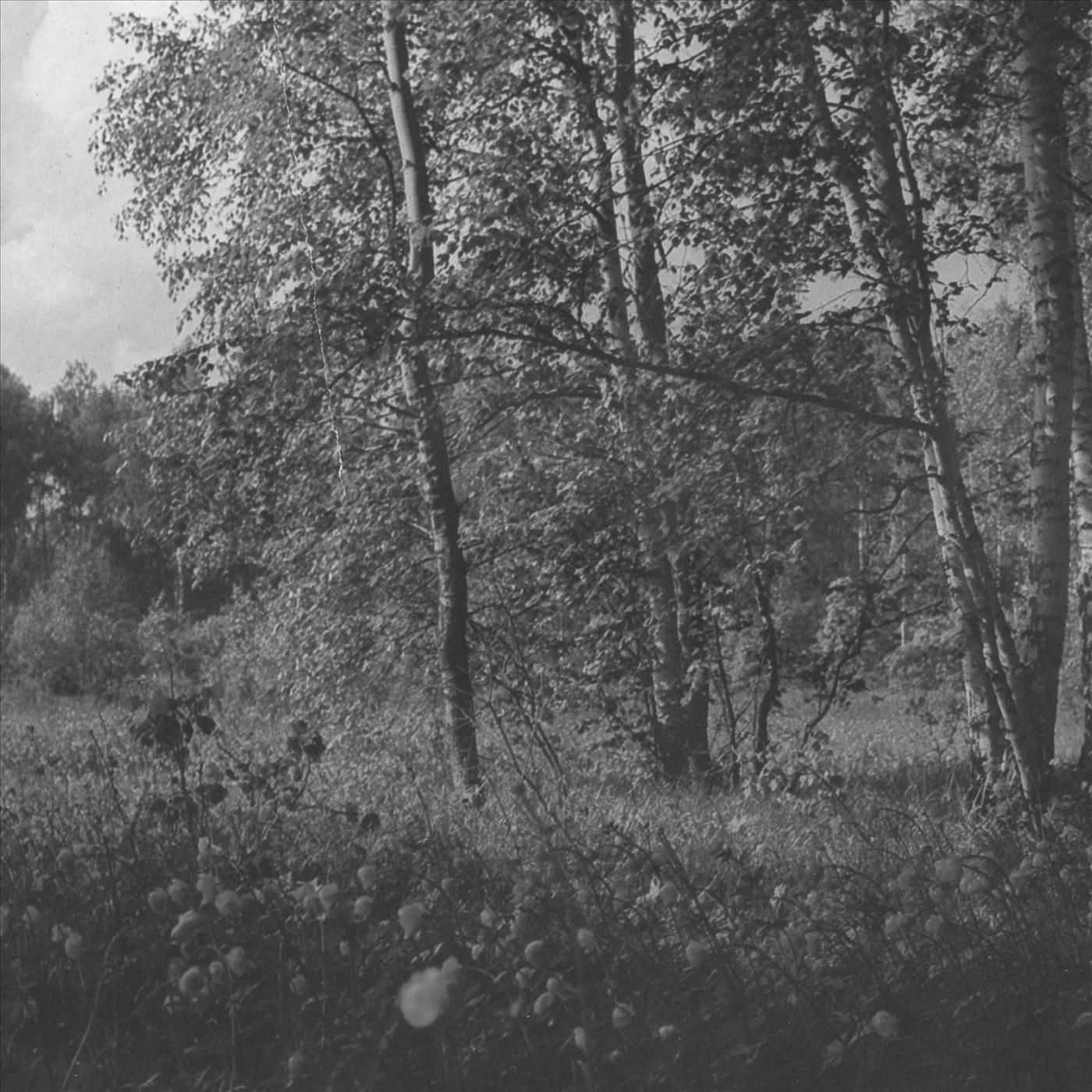 Motorama《Empty Bed》乐队总谱|GTP谱|GTP吉他谱 - 谱酷屋